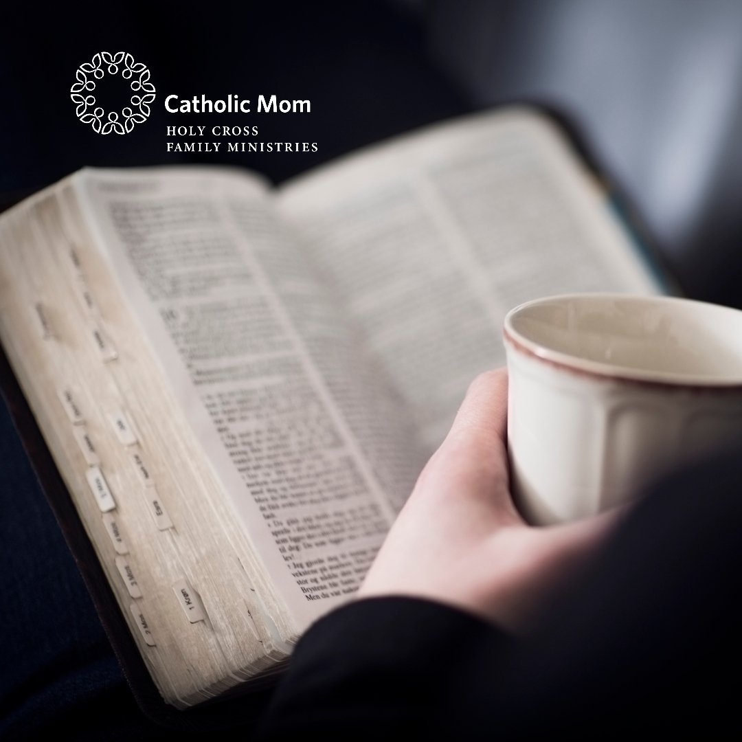 Daily Gospel Reflection For July 26 2025